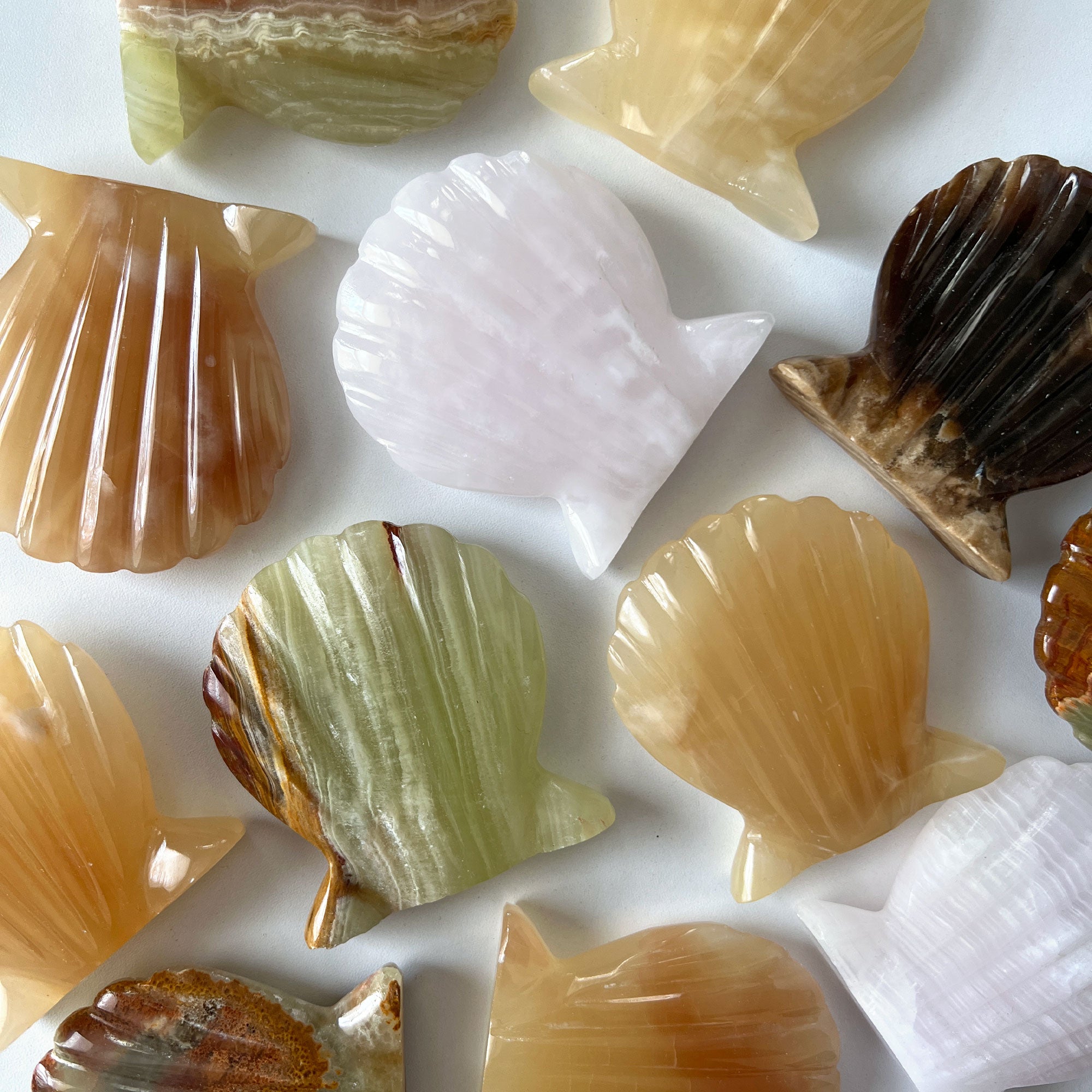 Assorted Crystal Seashells – Sole Luna