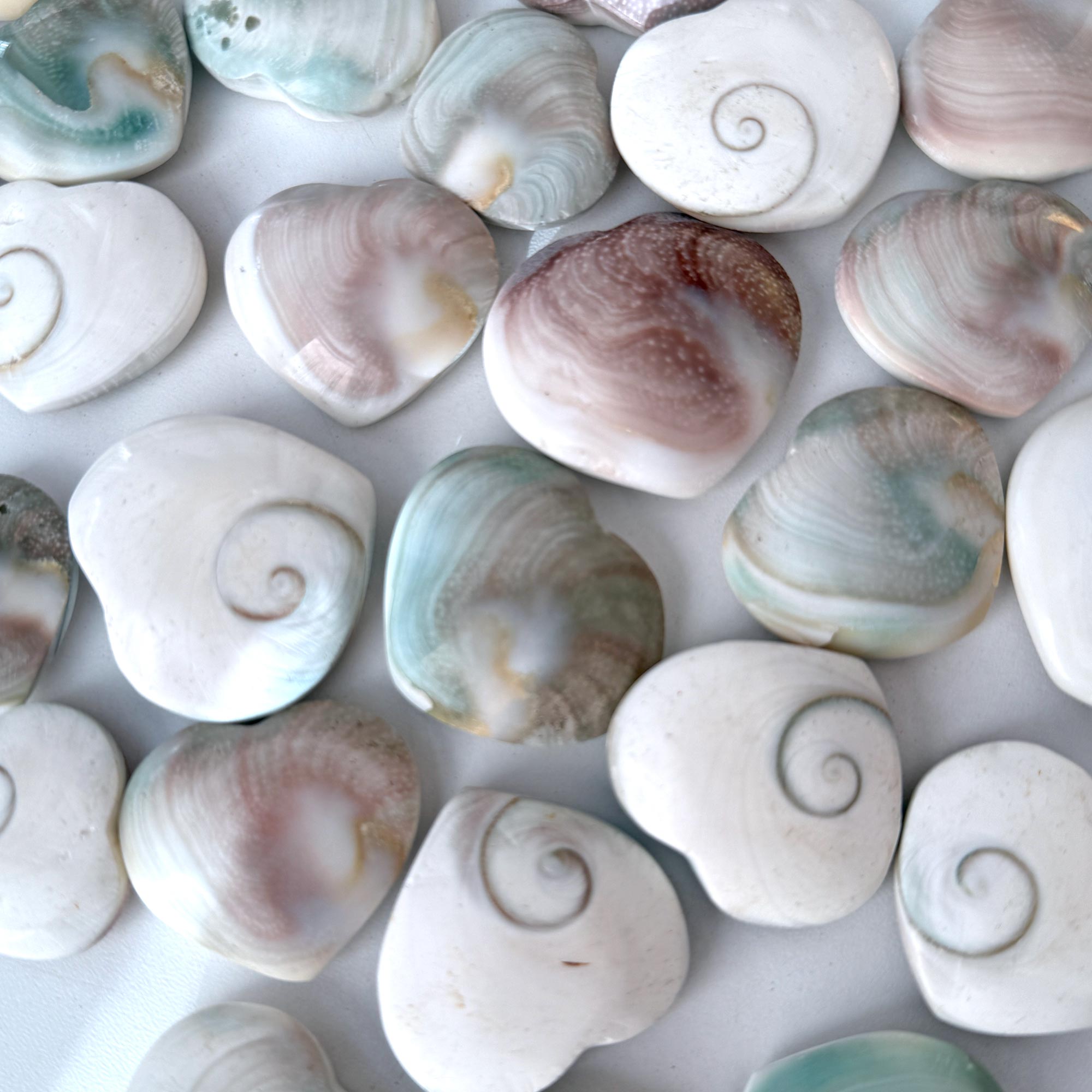 Shiva Eye Shell Heart – Sole Luna